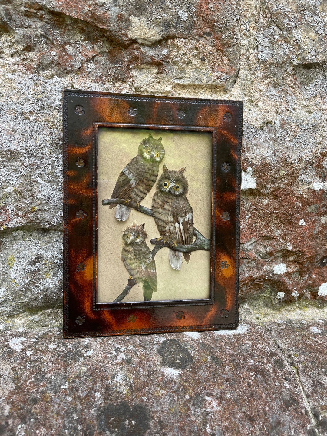 Antique Owl Picture Art in Leather Frame | Vintage Owl Artwork | Trio ...