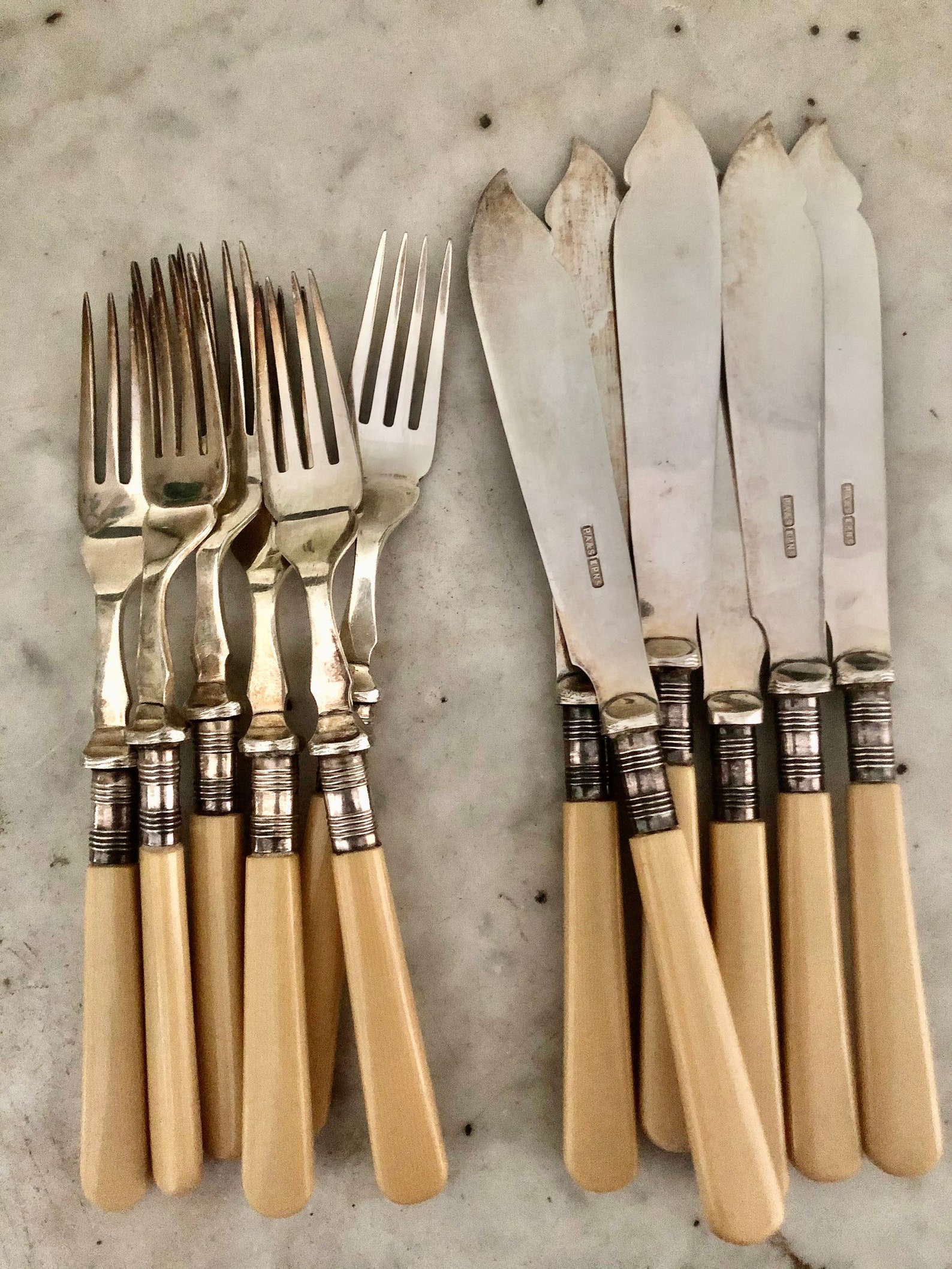Philip Ashberry & Sons Faux Bone Fish Knives and Forks | Silver Plated ...