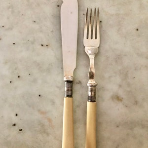 Philip Ashberry & Sons Faux Bone Fish Knives and Forks | Silver Plated ...