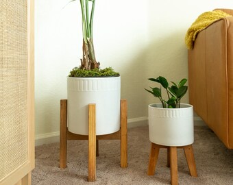 Dumpling Stand - Etsy