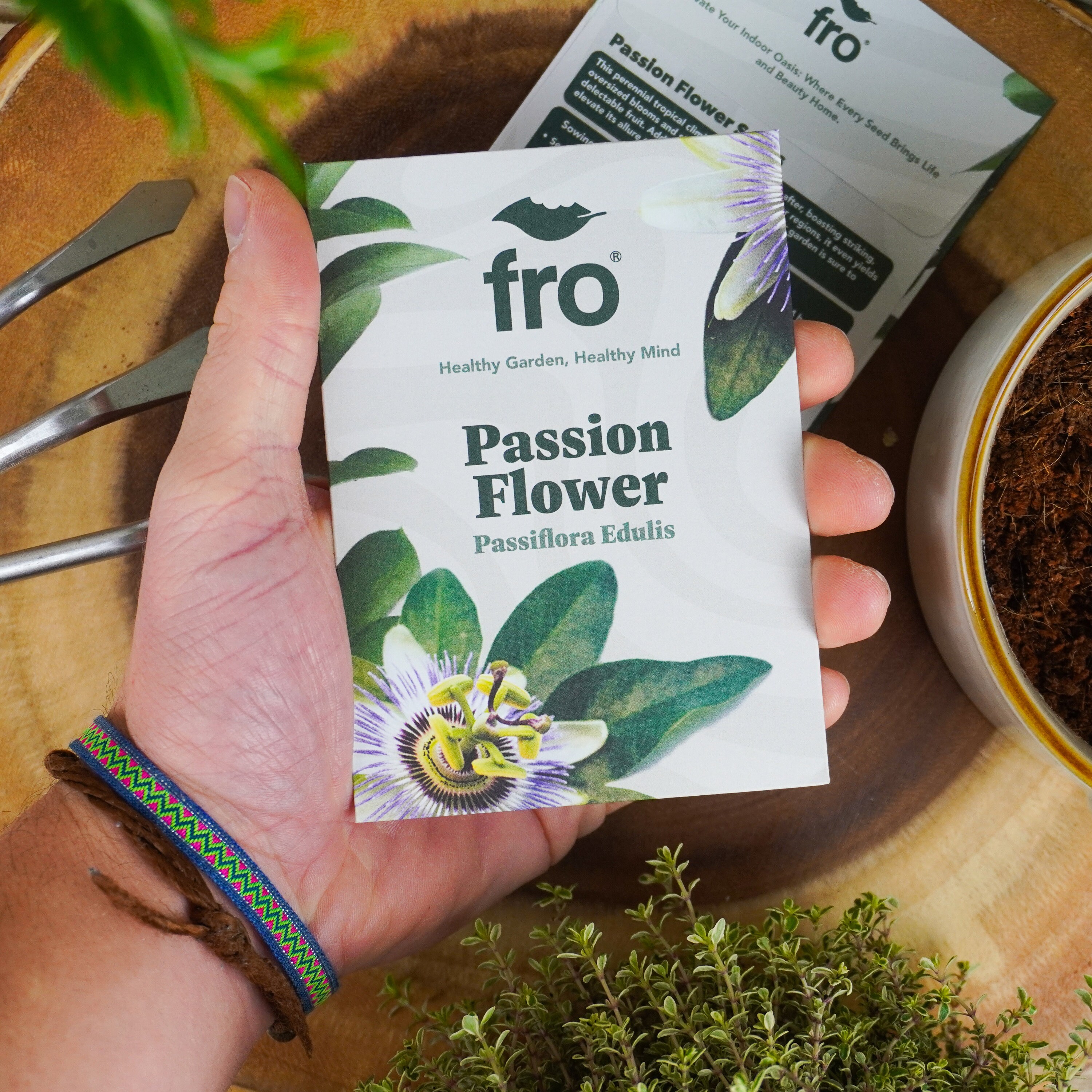 House Plant Seeds Grow Your Own House Plant 5 Varieties House Plant ...