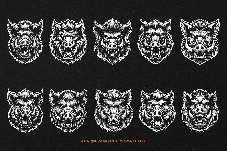 10 Bundle Dark Art Scary Wild Boar Head Black and White Illustration ...