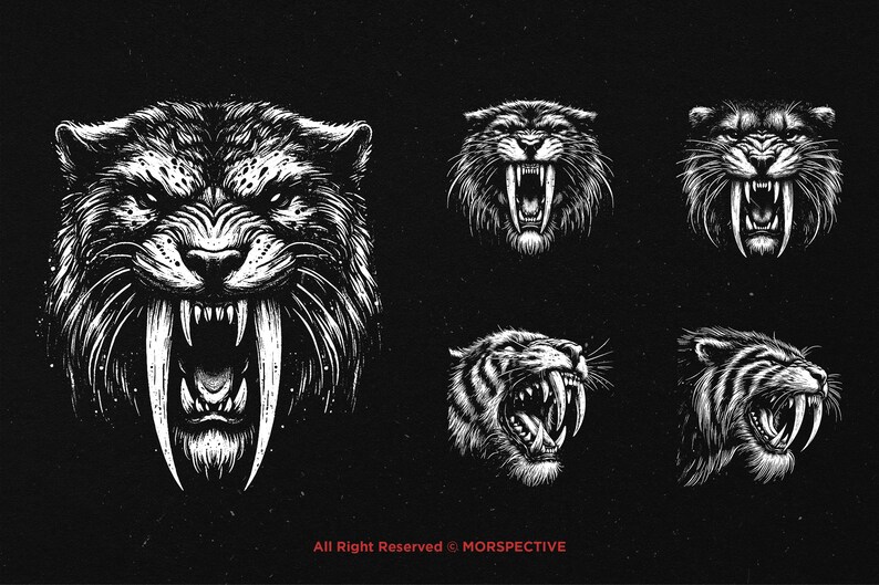 10 Bundle Dark Art Sabertooth Ancient Tiger Cat Fangs Beast Hand Drawn ...
