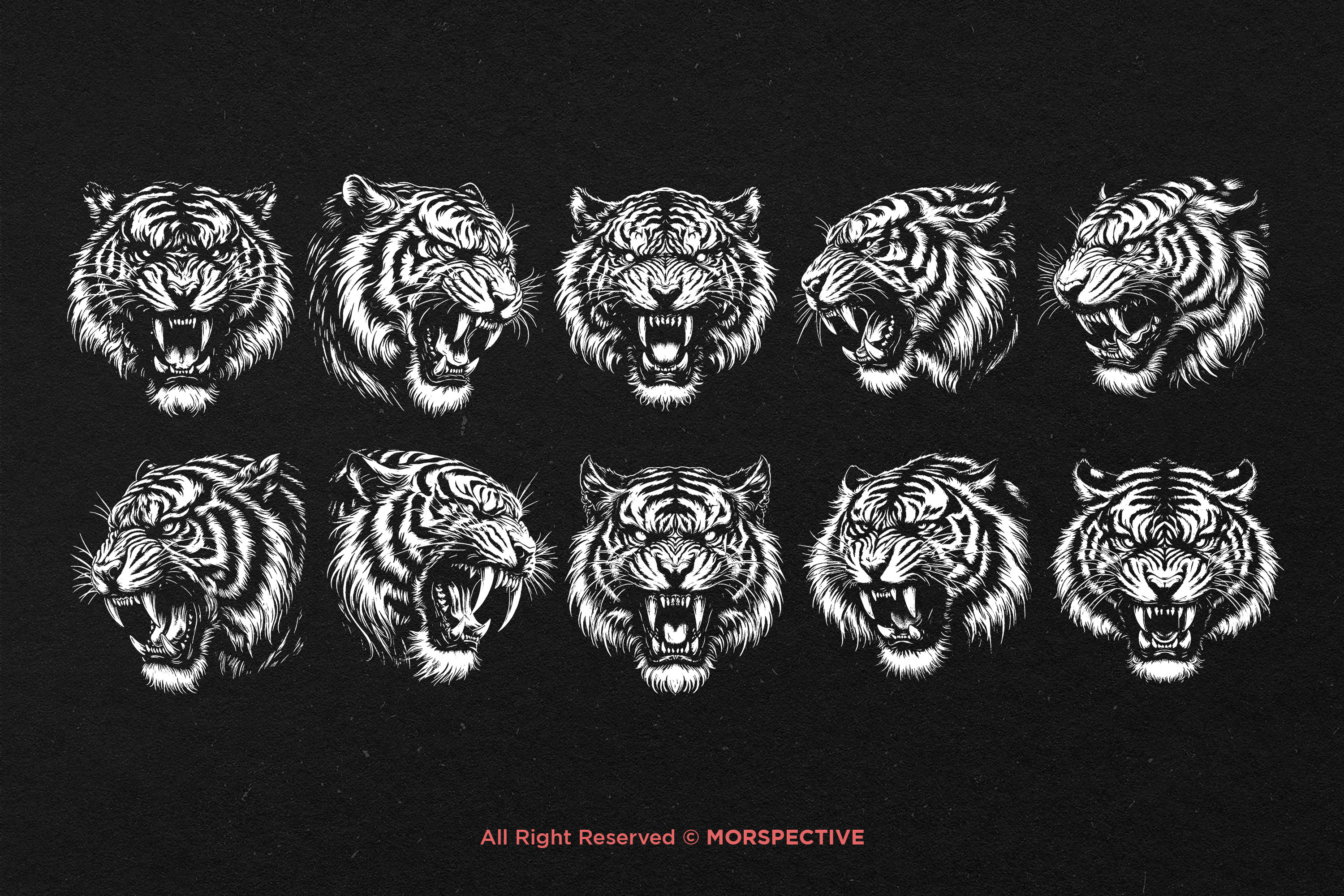 10 Bundle Dark Art Tiger Beast Wild Animal King Scary Grunge Vintage ...