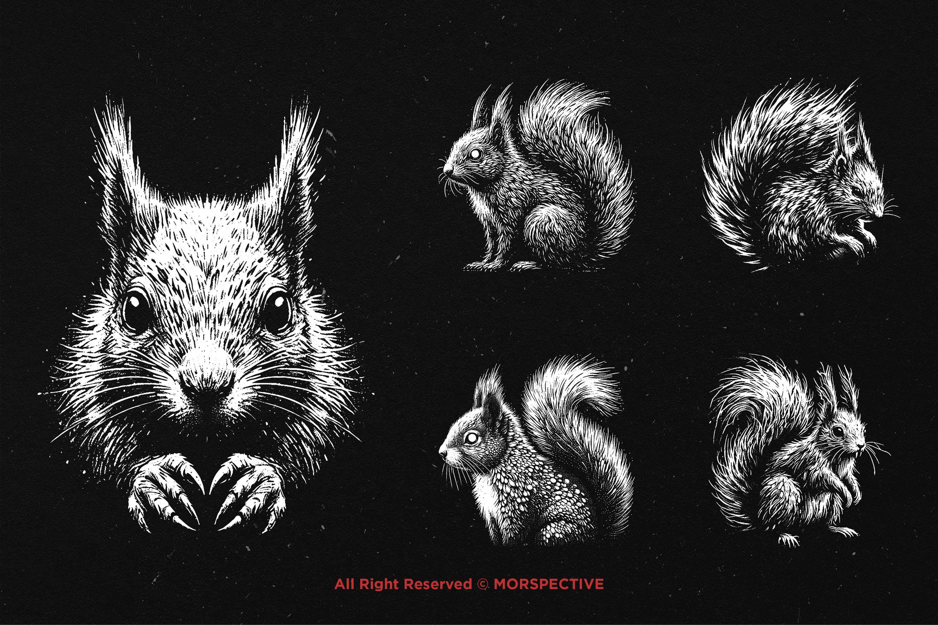 10 Bundle Dark Art Squirrel Animal Horror Angry Skull Tattoo Clipart ...
