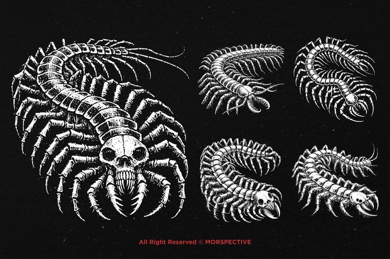 10 Bundle Dark Art Centipede Insects Gothic Skull Horror Tattoo Clipart ...