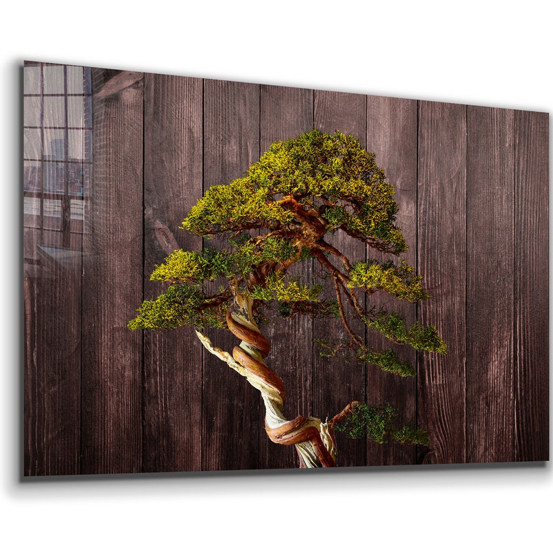 Bonsai Tree Art - Etsy