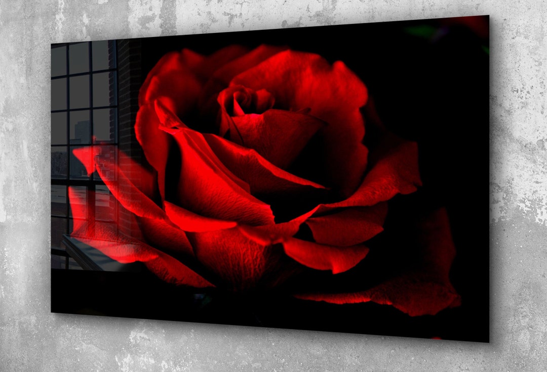 Red Rose Tempered Glass Printing , Flower Glass Wall Decor, Modern Wall ...