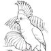 15 Parrot Coloring Pages! Printable Digital Download - Etsy