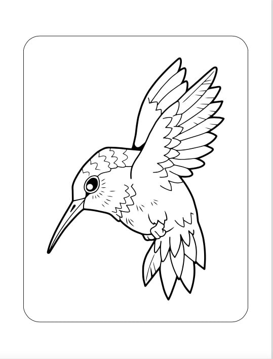 20 Bird Coloring Pages Printable Digital Download Coloring Book Pages ...