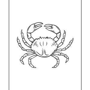 50 Under the Sea Coloring Pages Printable Coloring Pages (digital ...