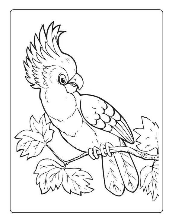 Parrots Coloring Pages
