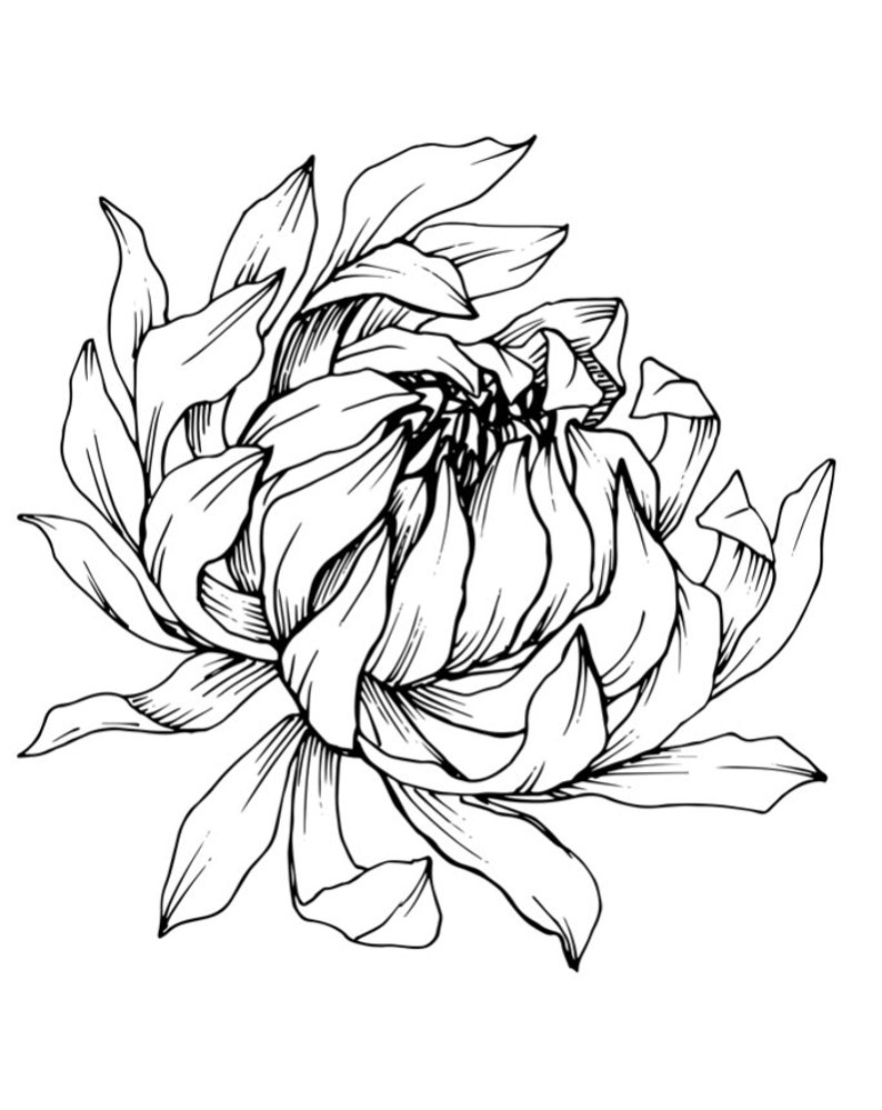20 Floral Coloring Pages, 20 Printable Flower Coloring Pages, Stress ...