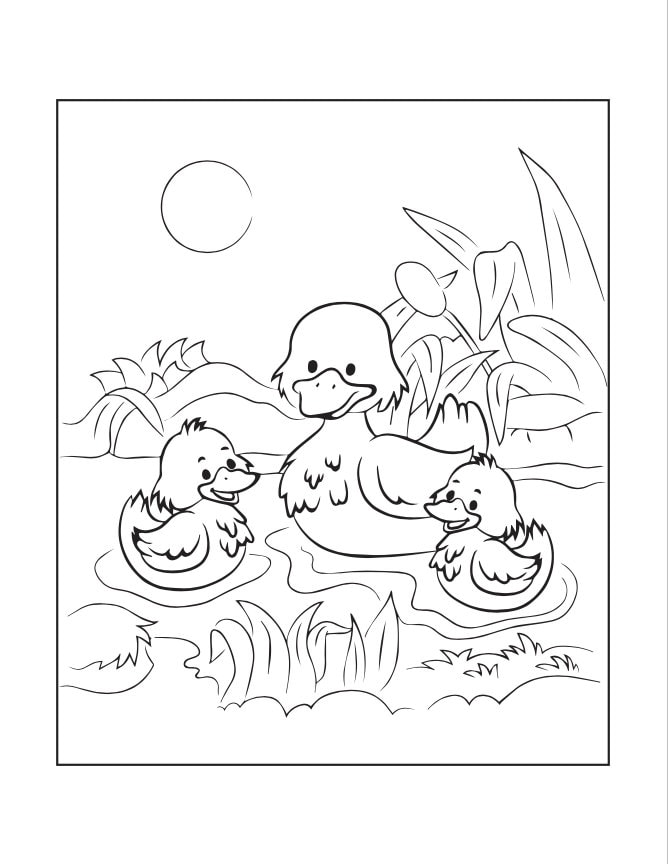20 Duck Coloring Pages for Kids! Printable Digital Download - Etsy