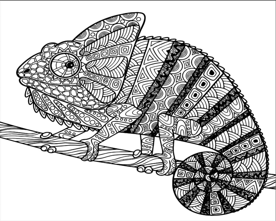 52 Printable Adult Coloring Pages! Stress Relief Coloring Digital ...