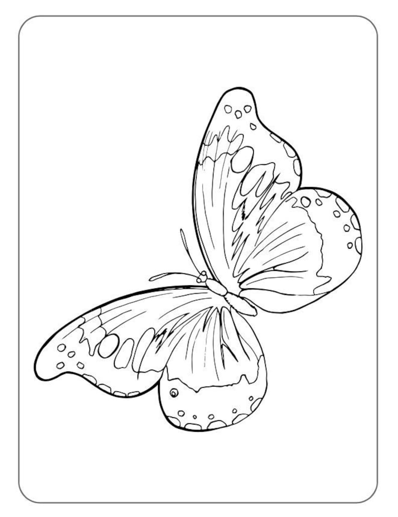 40 Butterfly Coloring Pages 40 Printable Butterfly Coloring Pages For