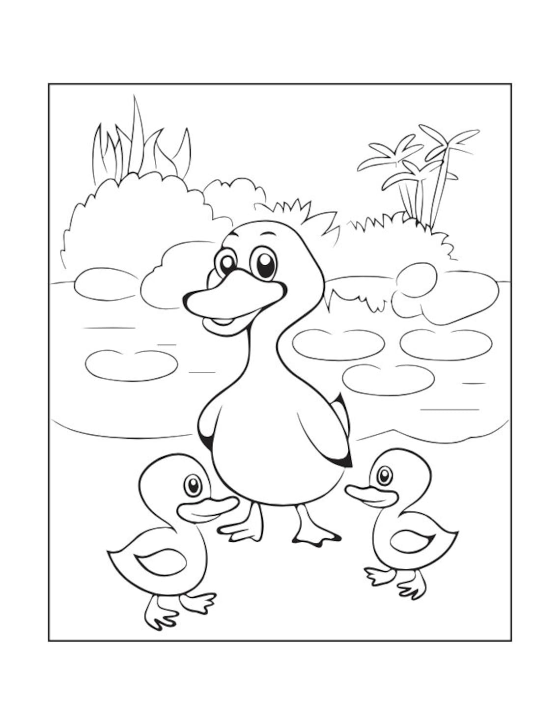 20 Duck Coloring Pages for Kids! Printable Digital Download - Etsy