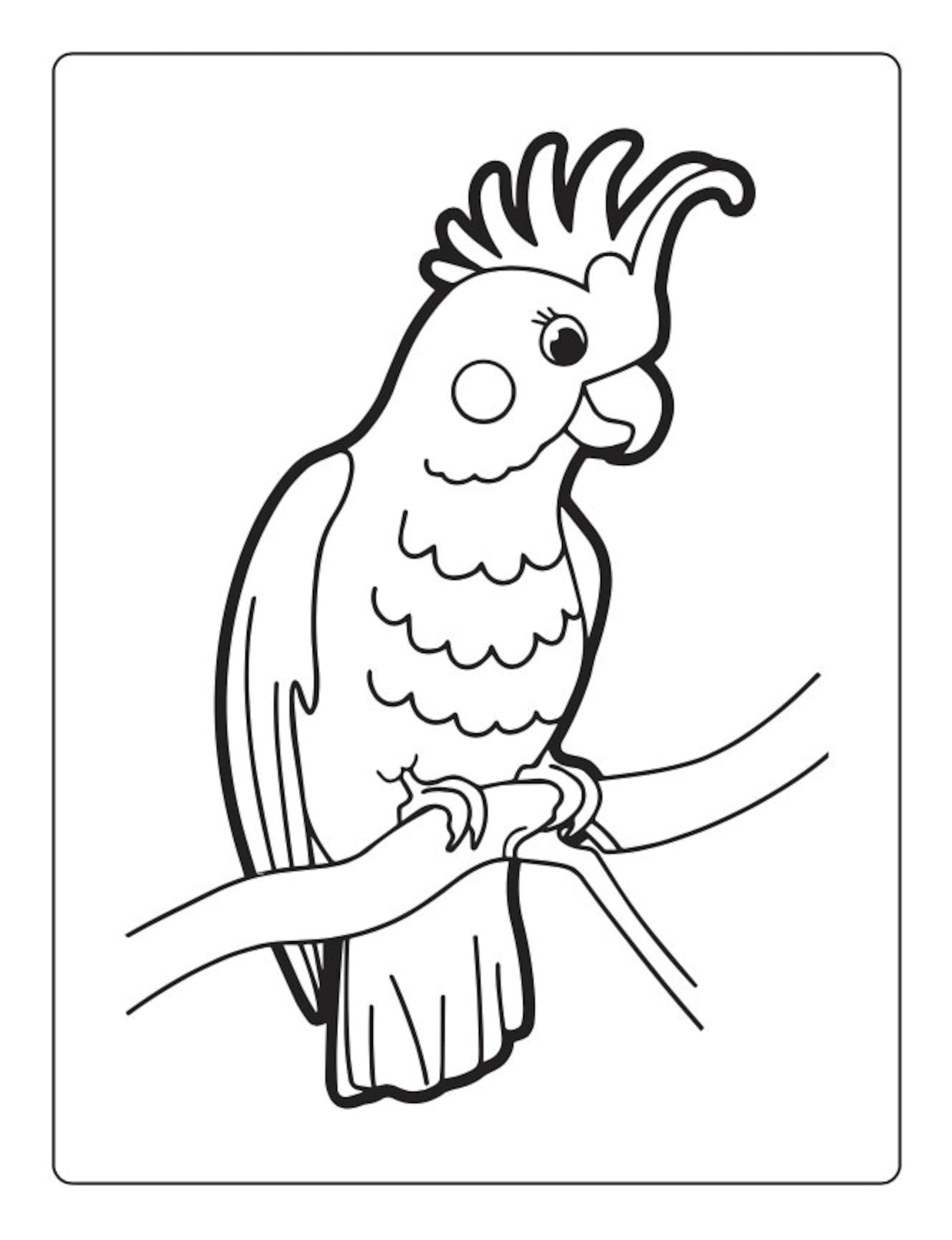 15 Parrot Coloring Pages! Printable Digital Download - Etsy