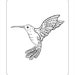 20 Bird Coloring Pages Printable Digital Download Coloring Book Pages ...