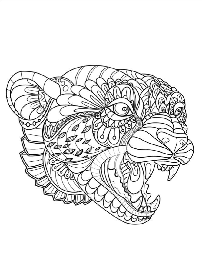 54 Printable Adult Coloring Pages Stress Relief Coloring Digital ...