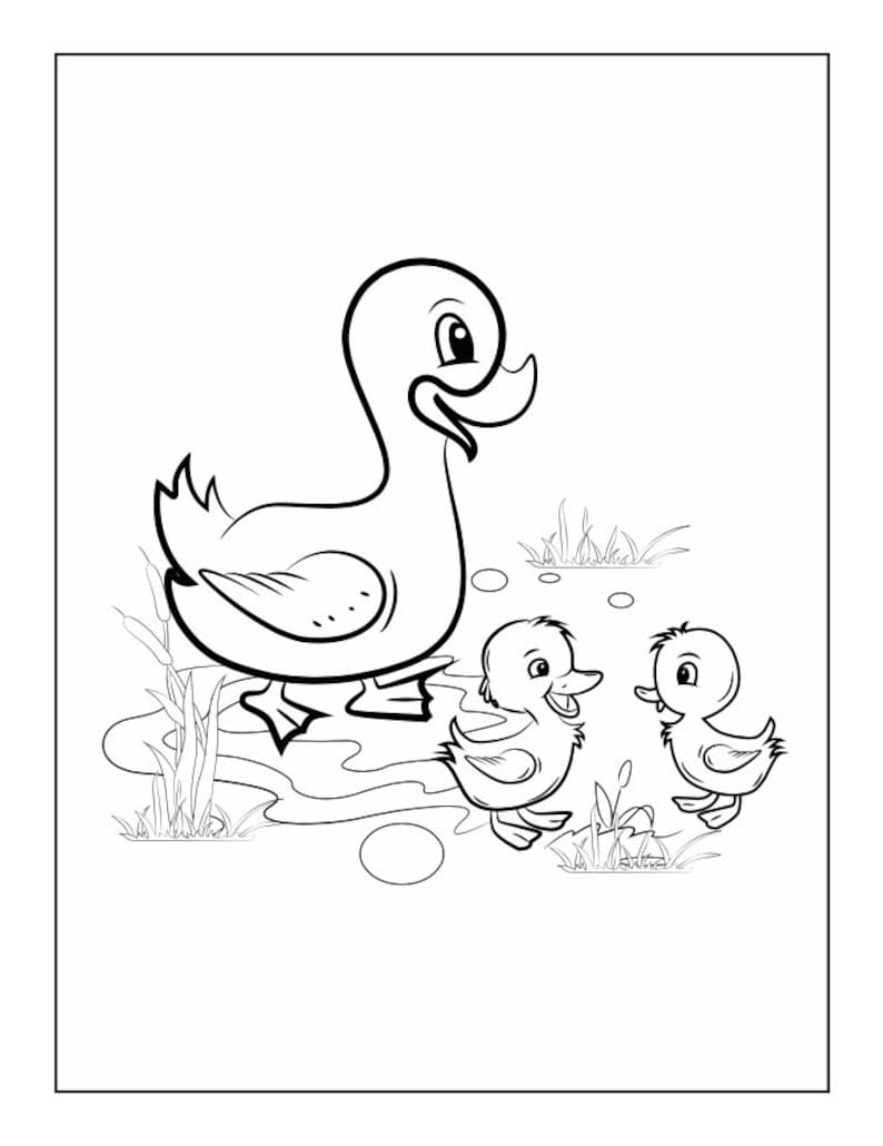 20 Duck Coloring Pages for Kids! Printable Digital Download - Etsy