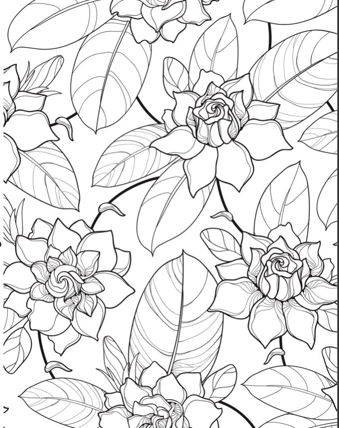 20 Floral Coloring Pages, 20 Printable Flower Coloring Pages, Stress ...