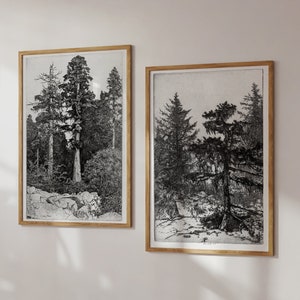 Set of Two Tree Prints Picture Set Print Set Landscape Print Moody ...