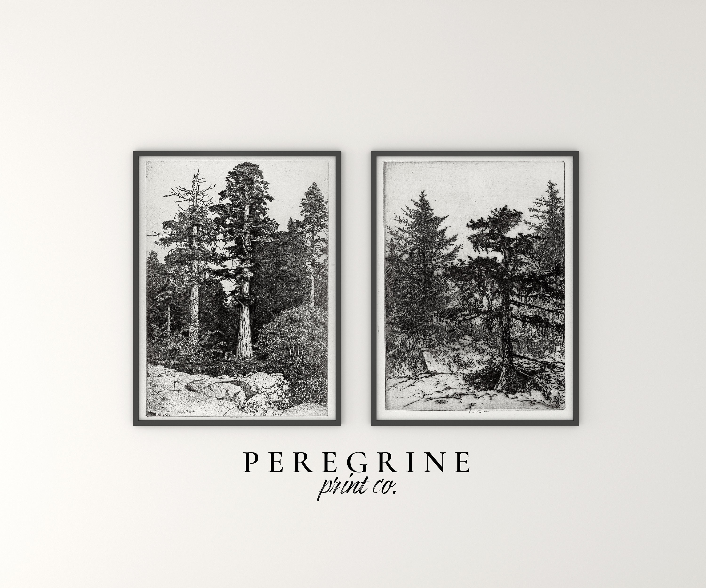 Set of Two Tree Prints Picture Set Print Set Landscape - Etsy