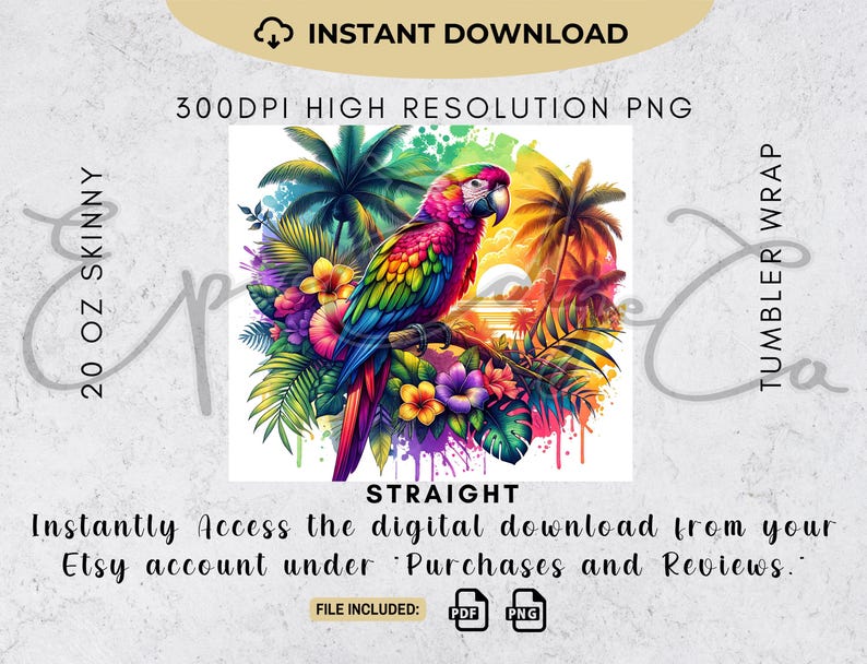 Macaw Parrot Tumbler Sublimation Design: Tropical Beach Vibes (digital ...