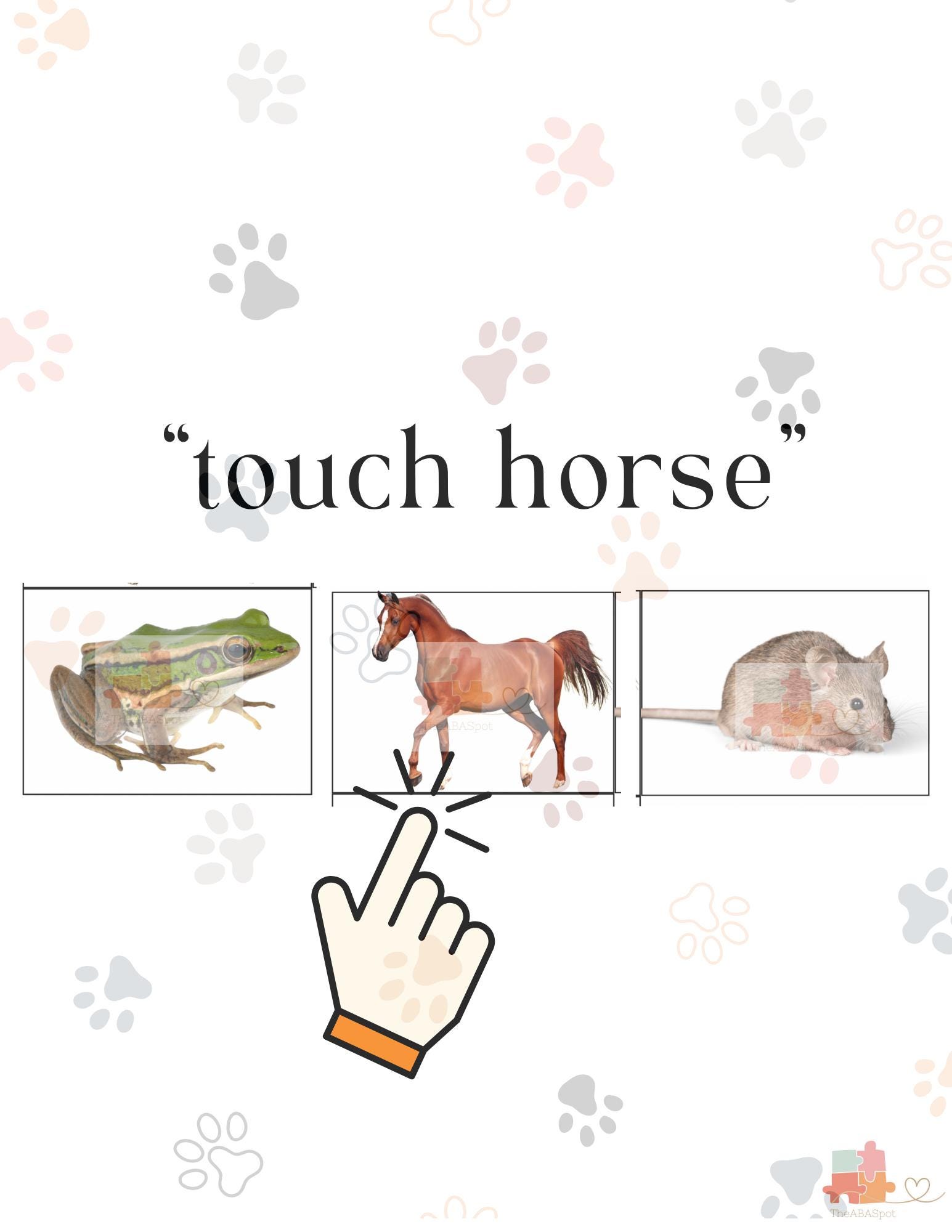 Animal Flashcards | VB-MAPP Assessment Tool | ABA Materials | Learning ...