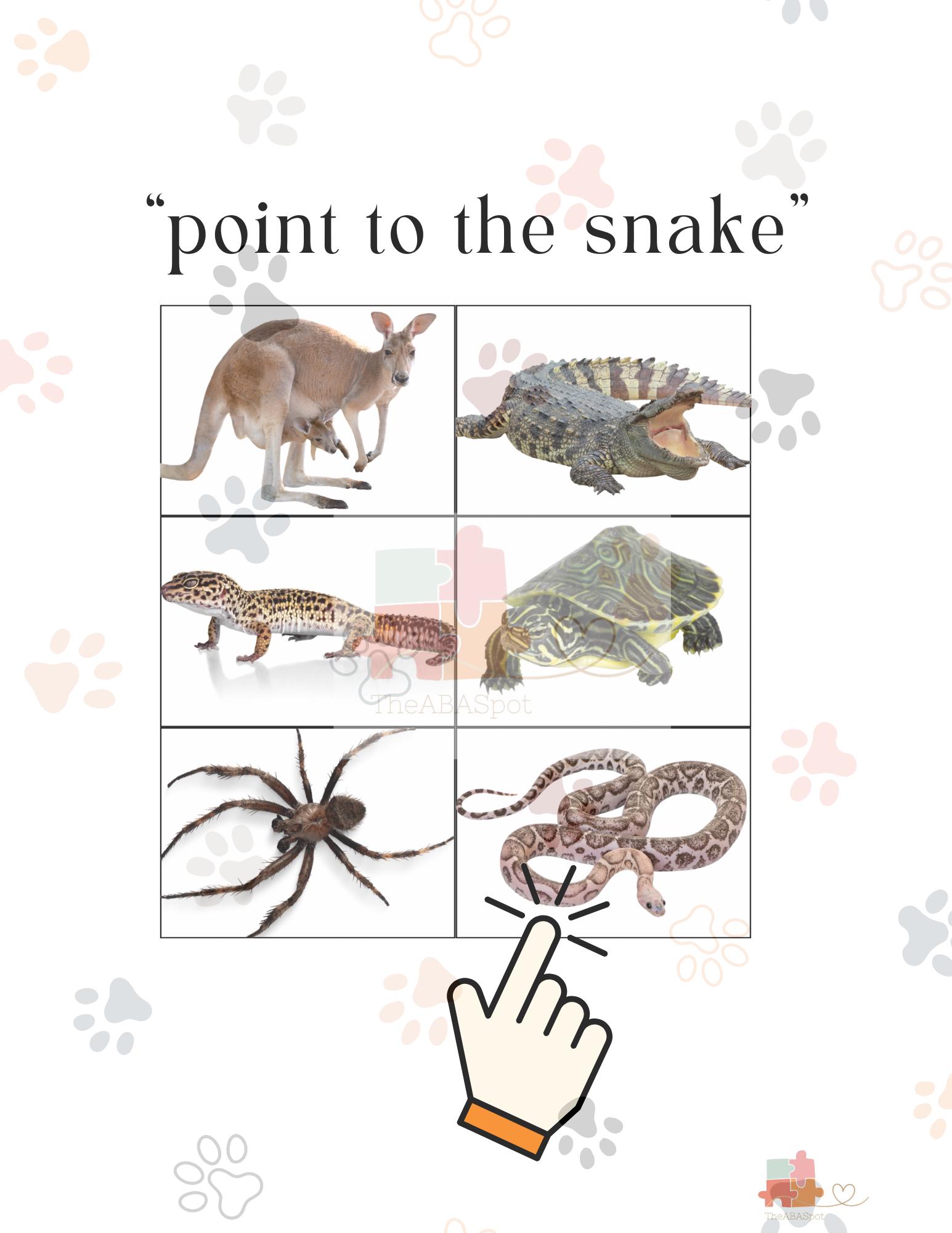 Animal Flashcards | VB-MAPP Assessment Tool | ABA Materials | Learning ...