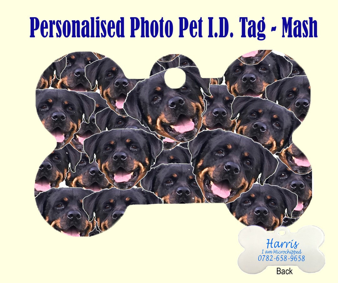 Photo Mash Pet ID Tags Personalised and Printed Bone | Dog Tag | Safety ...