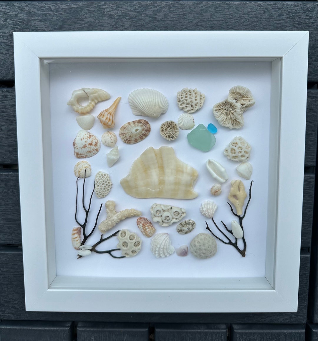 Seashells Wall Decor - Seashells Shadow Box - Wall Art Seashells- Coral ...