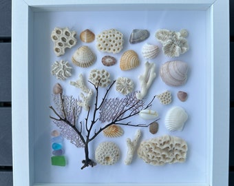 Sea Shells Wall Art Coral Fossil Rocks Sea Whips Sea Branches Coastal ...