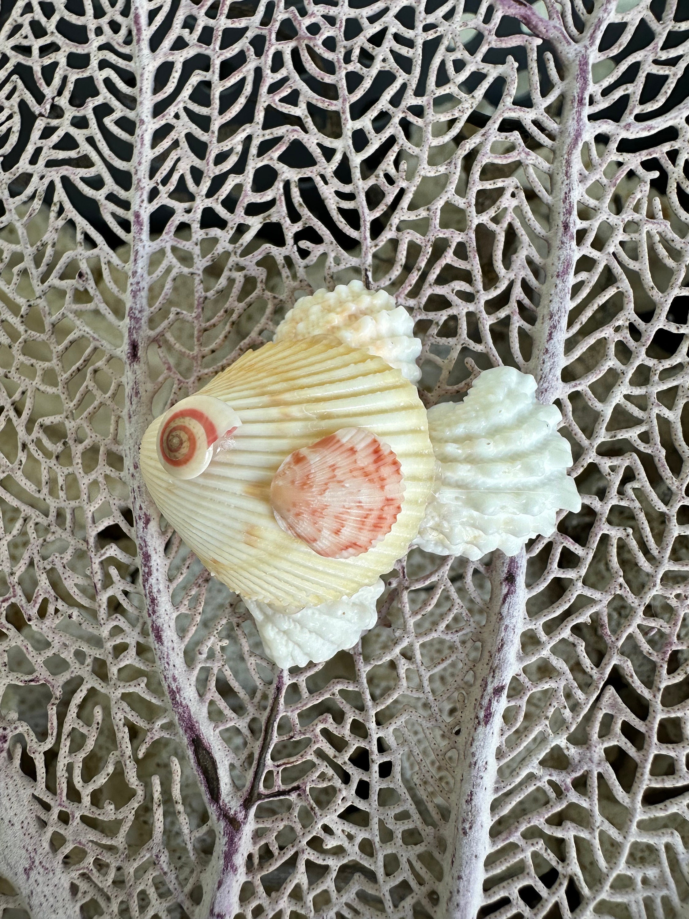 Sea Shell Fish Figurine Magnet 3pcs Handcrafted Shells Sculpture ...