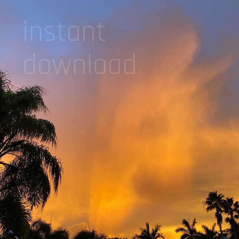 Florida Sunsets - Etsy
