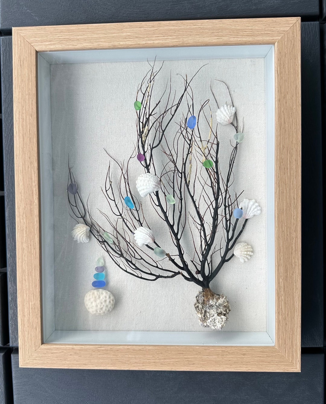 Seashells Wall Decor - Seashells Shadow Box - Sea Fan - Coral Fossil ...