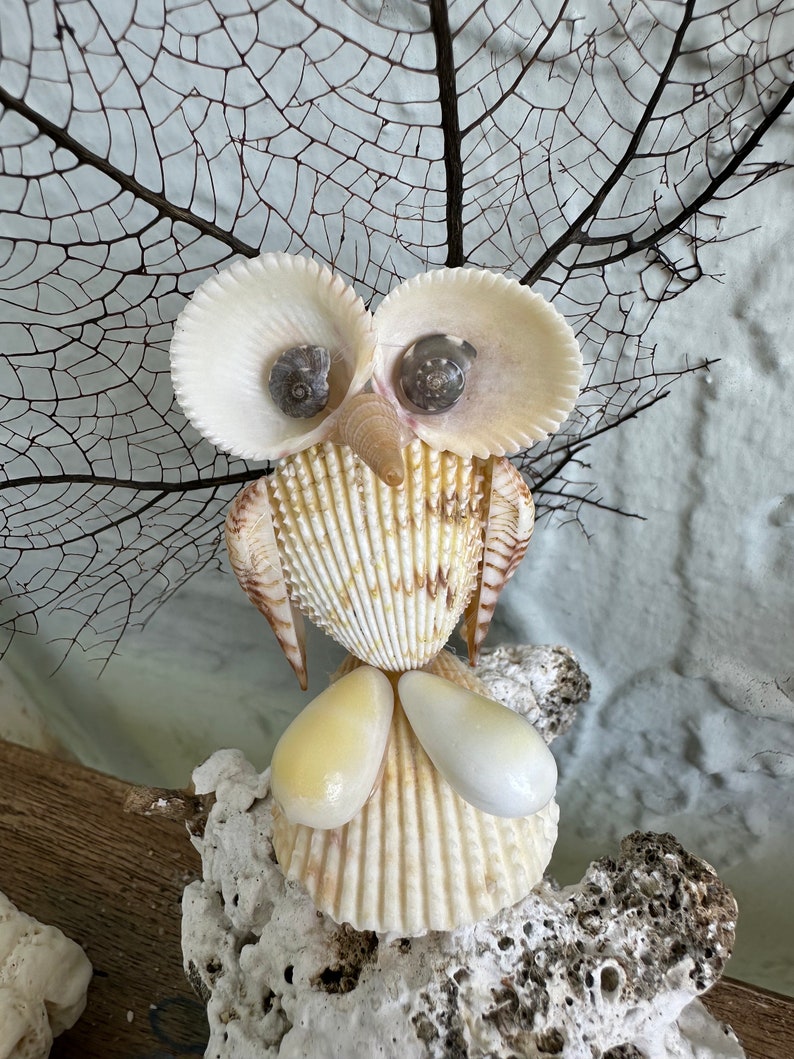 Sea Shells Owl Figurine Sculpture Birds Handcrafted 2 Pcs Gifts From ...