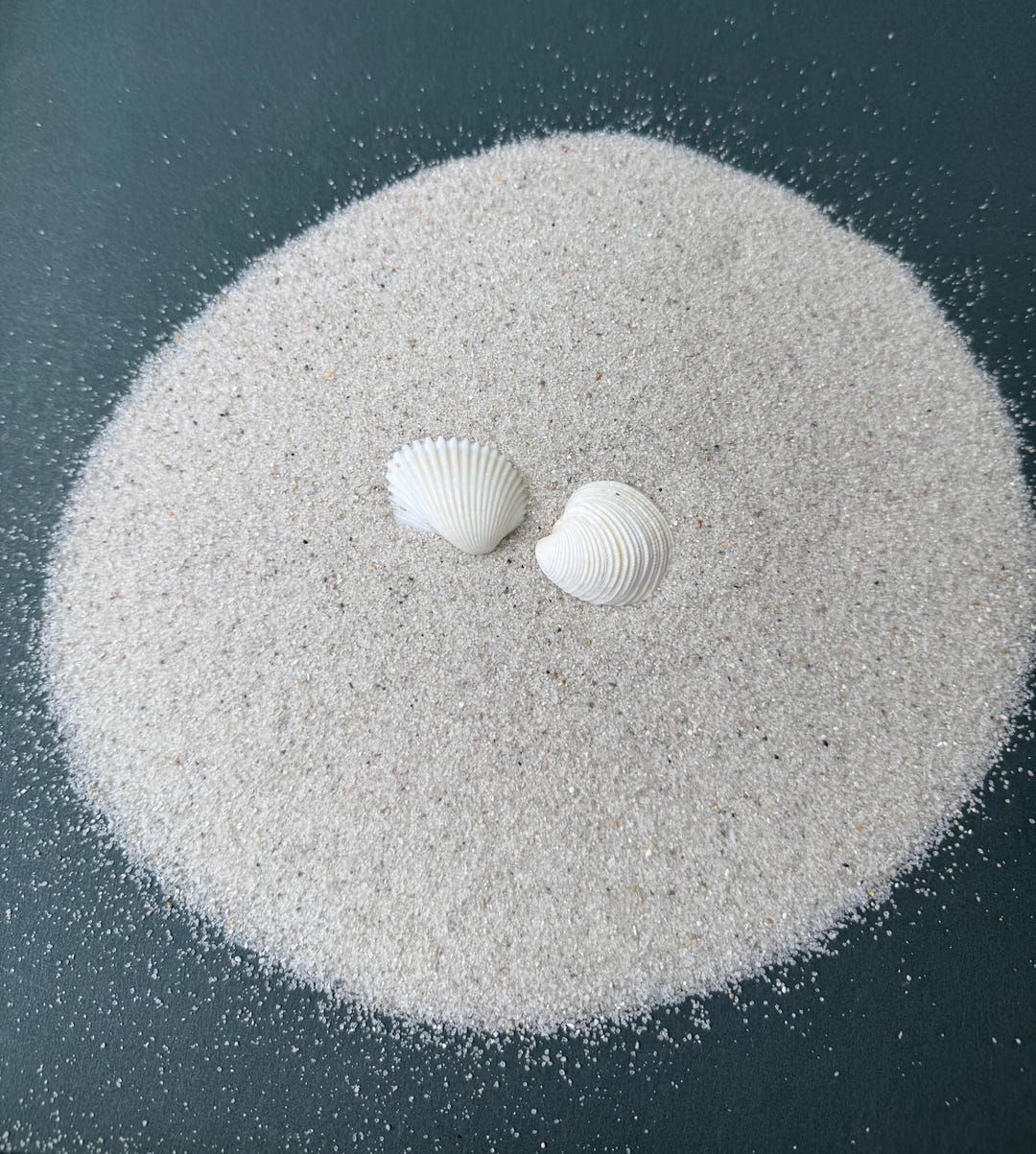 Authentic Natural Ocean White Sand - Ideal for DIY Crafts & Resin ...