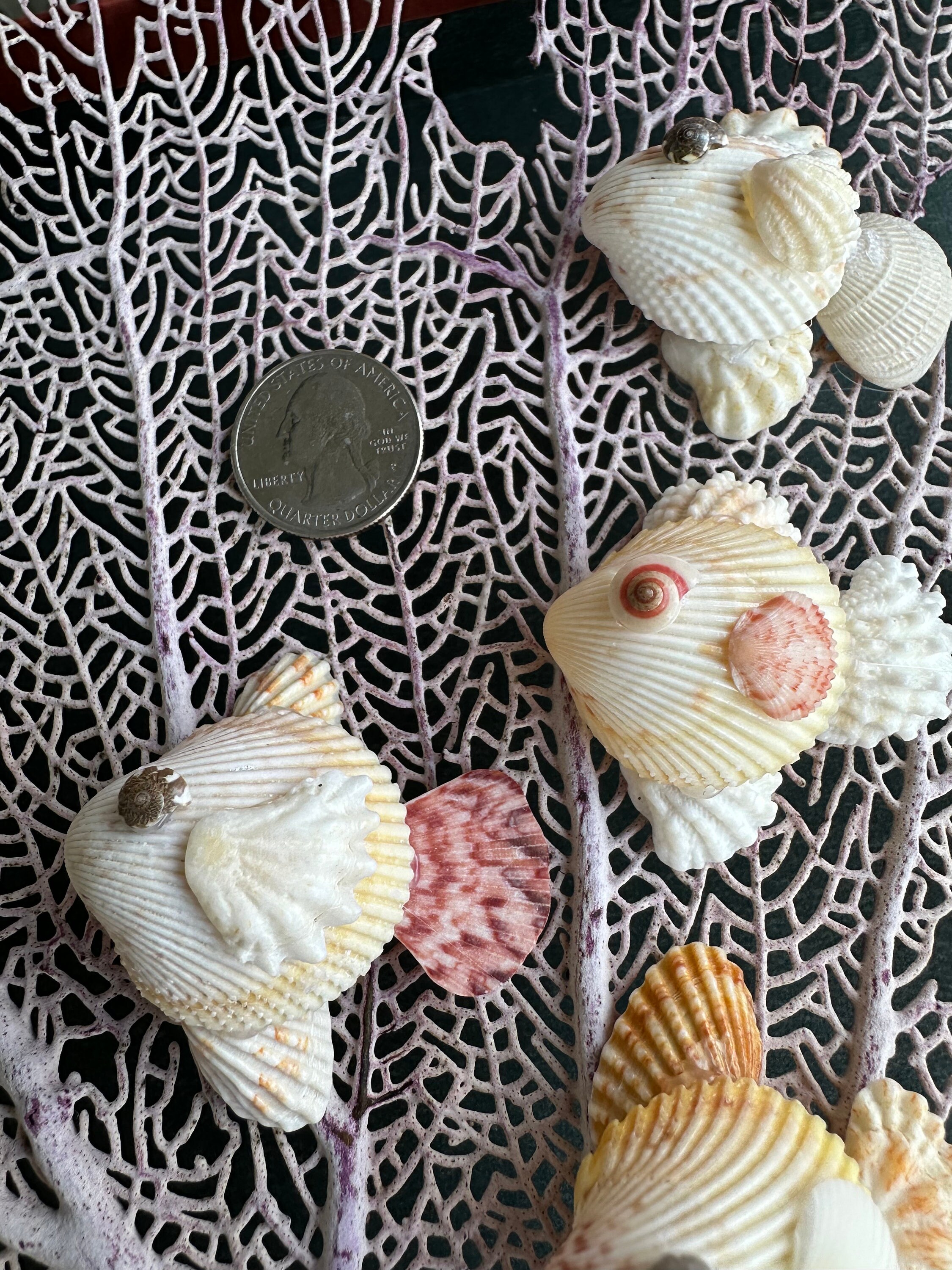 Sea Shell Fish Figurine Magnet 3pcs Handcrafted Shells Sculpture ...