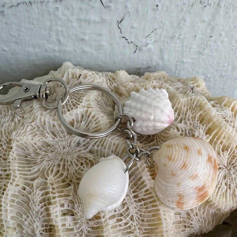 Sea Shell Keychain - Etsy