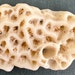 Rare Vintage Natural Coral Fossil Stone 11pcs Coastal Decor Ocean Coral ...