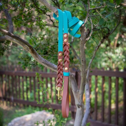 The Braided Leash two-toned Biothane Waterproof Vegan - Etsy