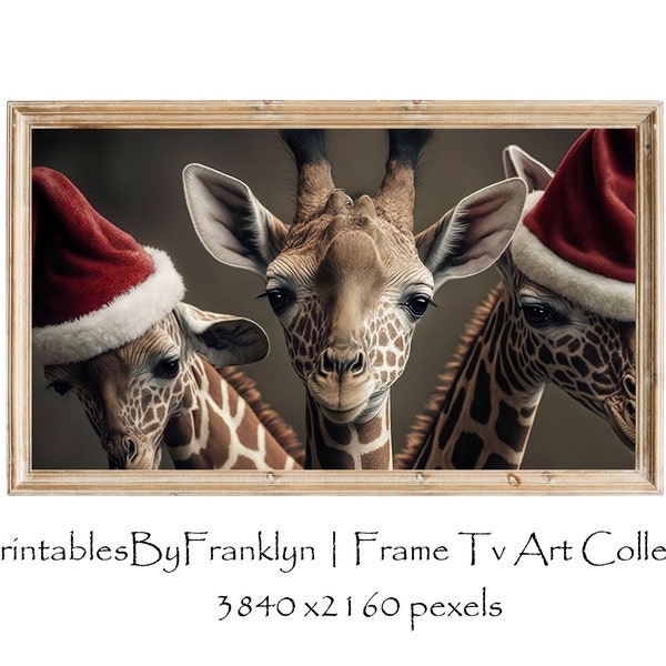 Cute Digital Frame - Etsy
