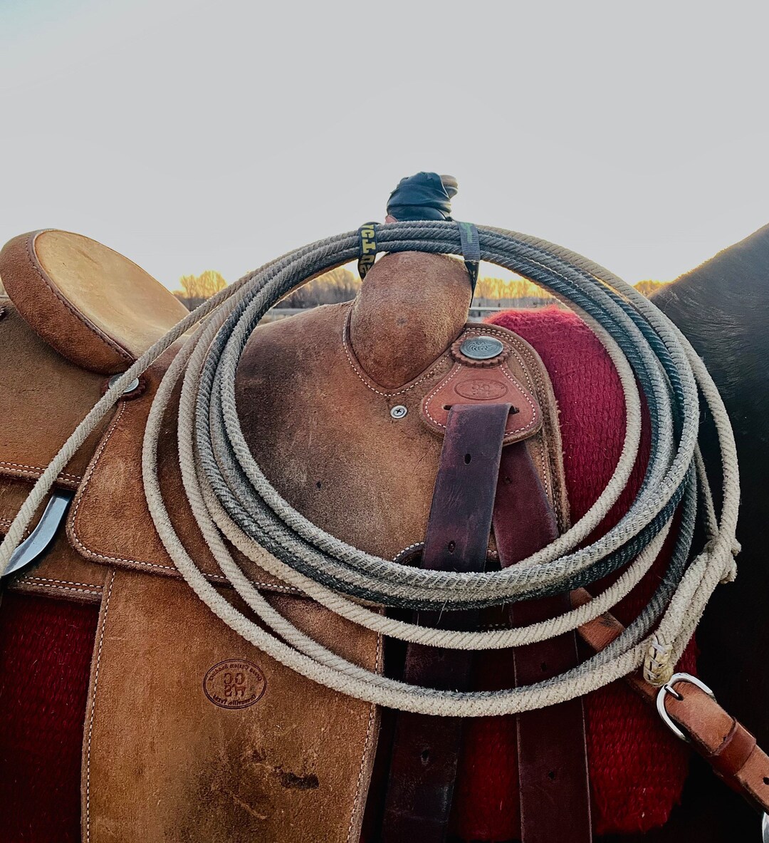 Texan Used Authentic Cowboy Ropes | Western Lasso Decor | Farmhouse ...