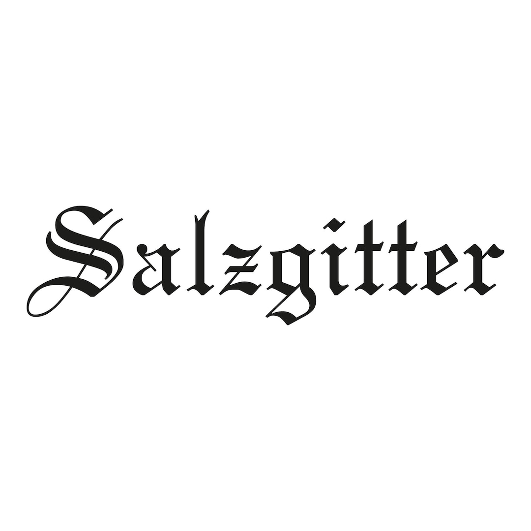 City Car Salzgitter