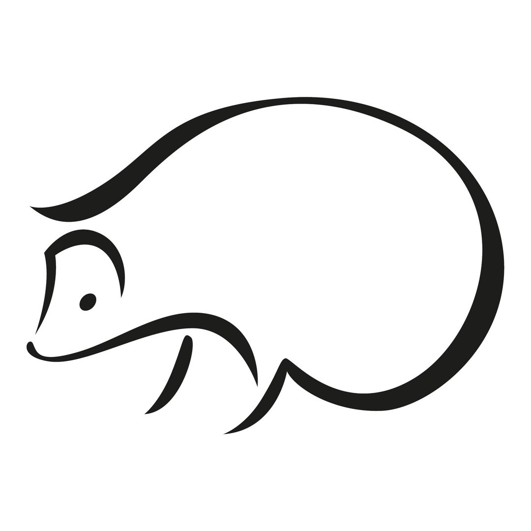 Car Sticker - Hedgehog - 170 X 120 Mm - Etsy