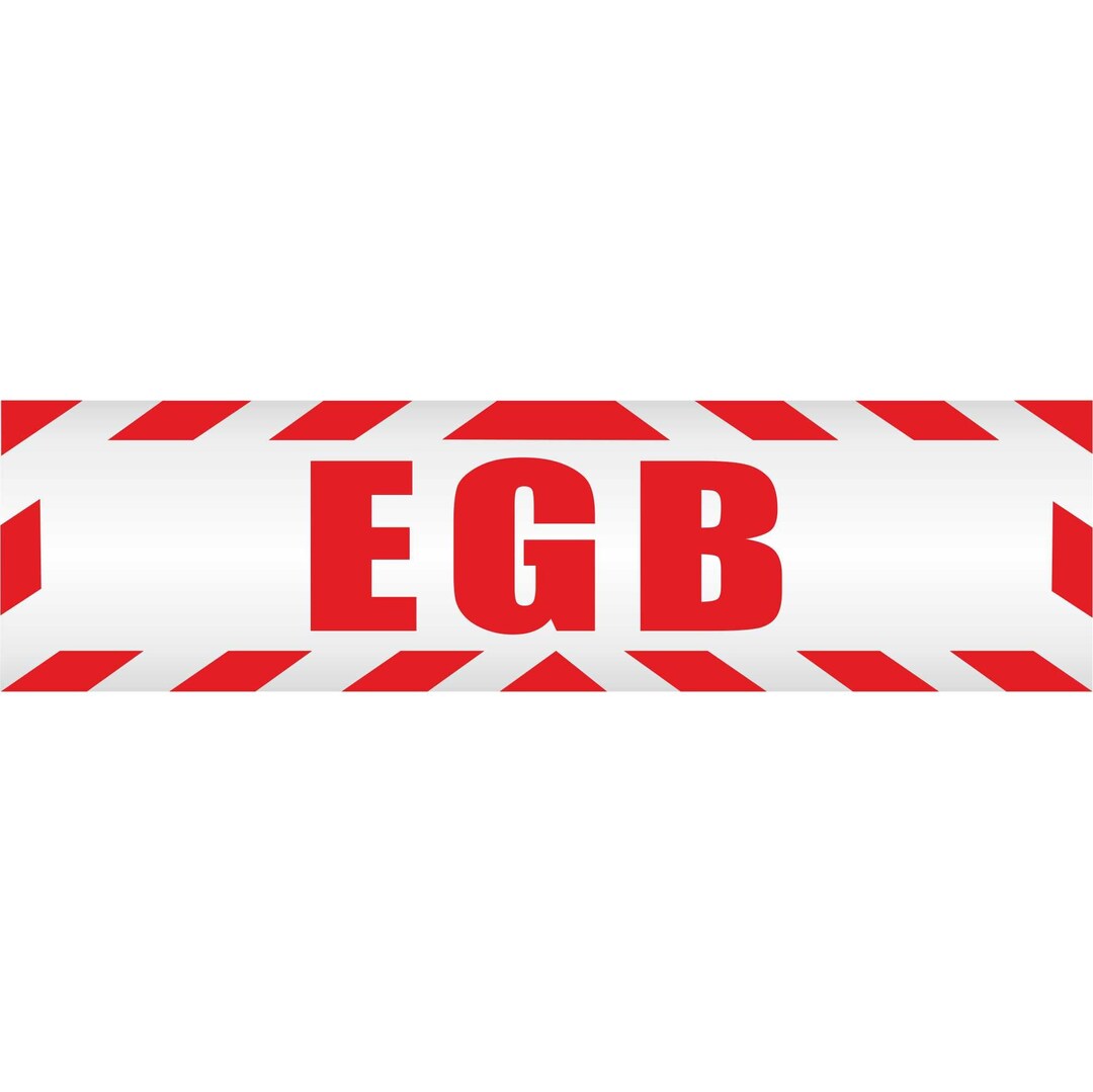 Magnetic Shield EGB Extended Basic Qualification Elite Ranger ...