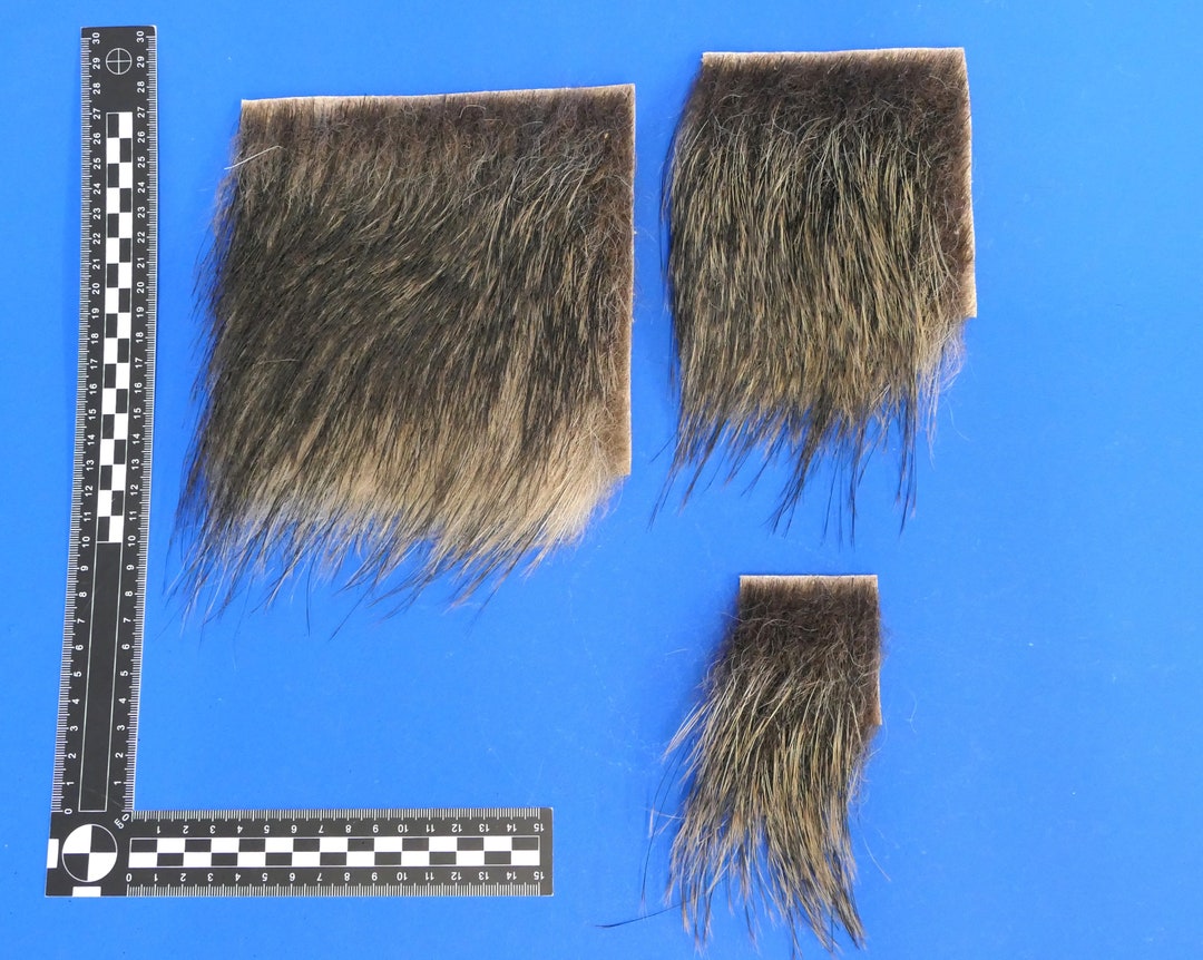 Real Wild Boar Fur, Pieces of Wild Boar Fur. Real Piece of Fur for ...