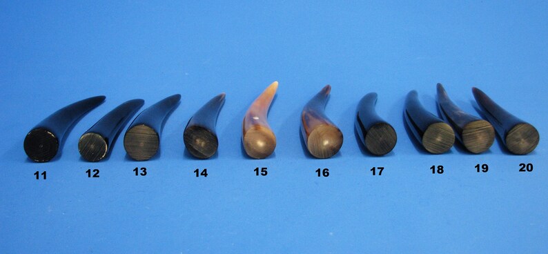 Beef Horns Polished Horn Tip, Solid Cattle Horn, Real Animal Horn ...